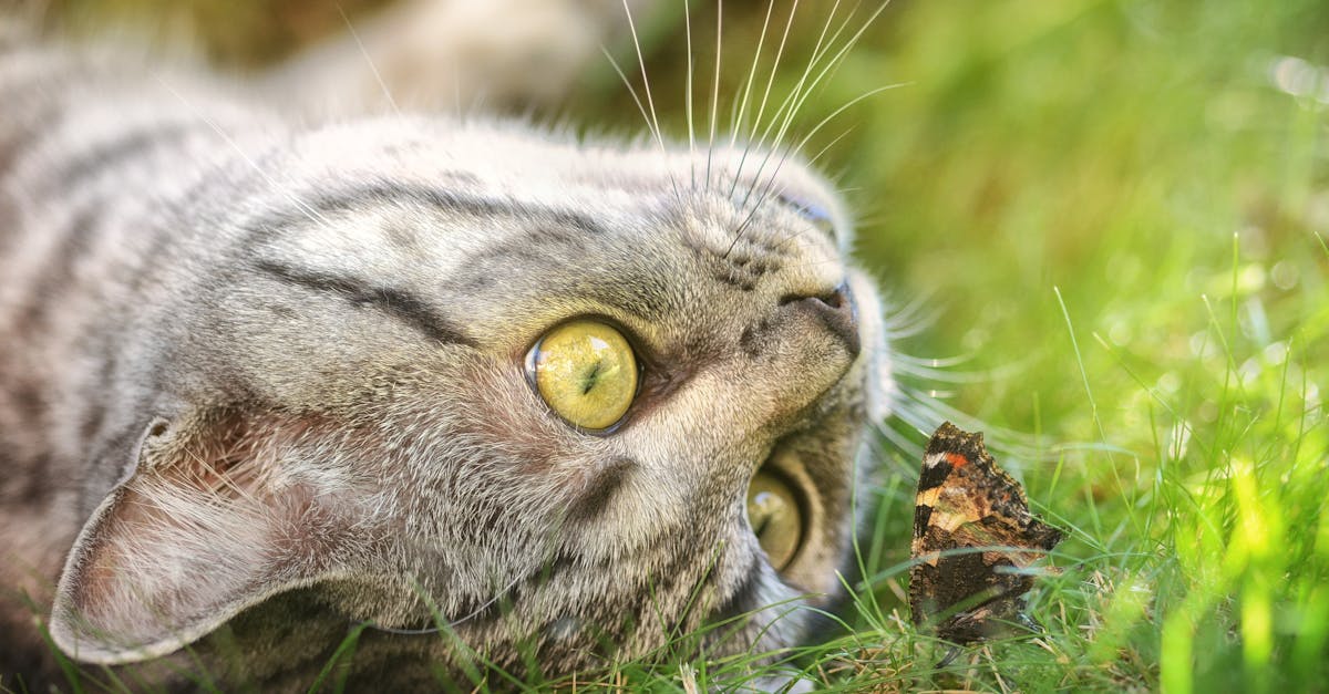 Attirez son regard sans en faire trop ! 👀